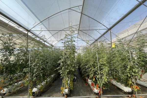 Crop Support System – Greenspan Agritech